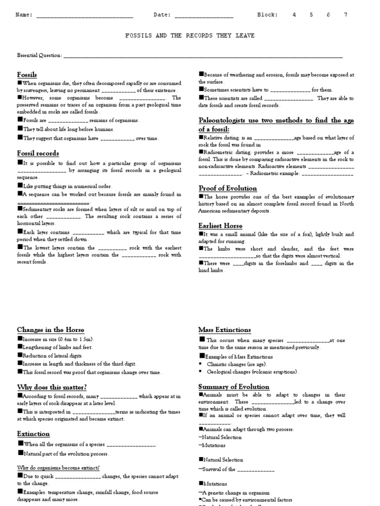 Fossils Student Guided Notes | Download Free PDF | Fossil | Extinction