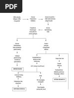 PATOFISIOLOGI Dan Pathway Sifilis | PDF