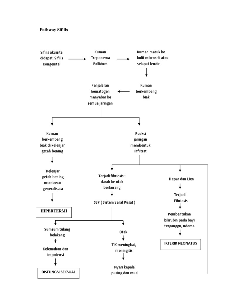 Pathway Sifilis | PDF