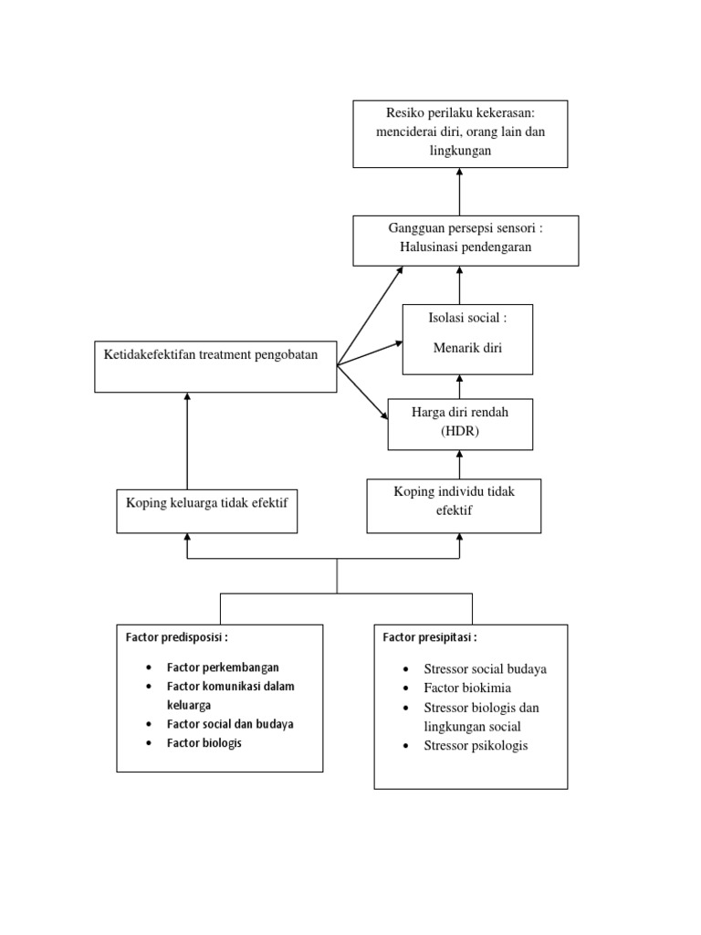 Pathway MD Halusinasi | PDF
