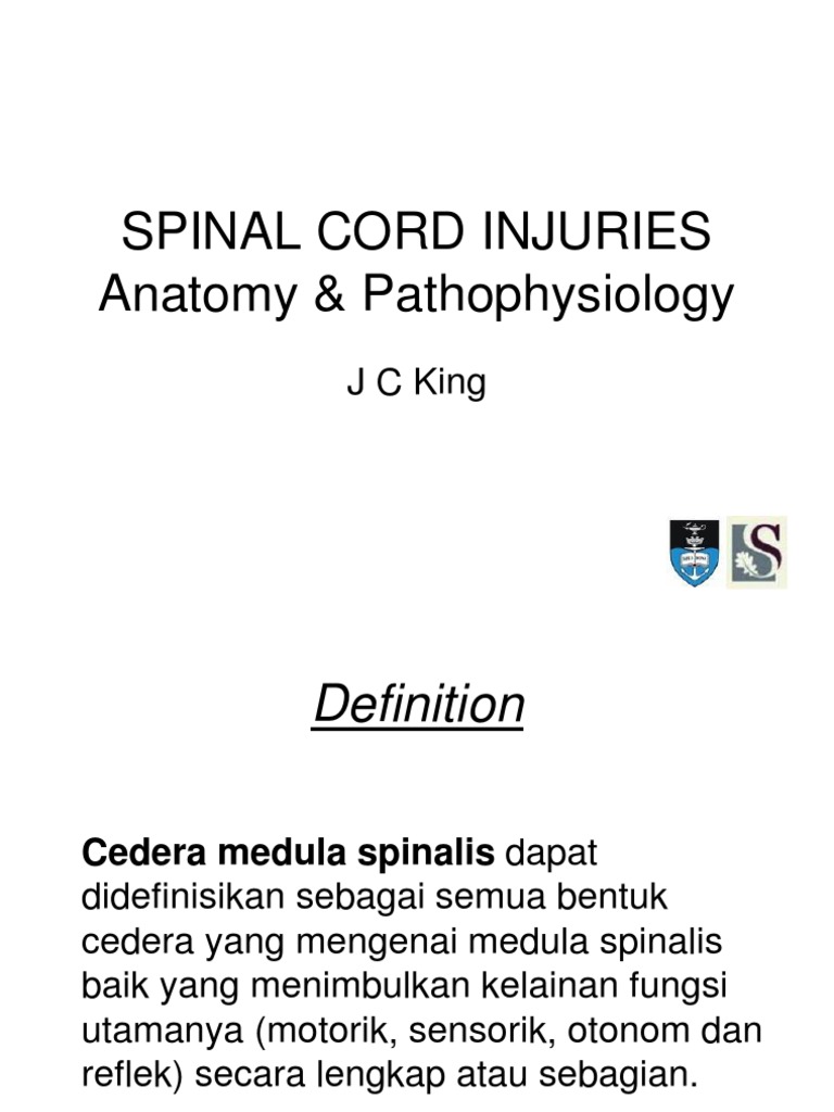 Spinal Cord Injuries Anatomy & Pathophysiology: Jcking | Download Free ...