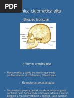 Triangulo de Farabeuf | PDF | Anatomía humana | Cabeza y cuello humanos