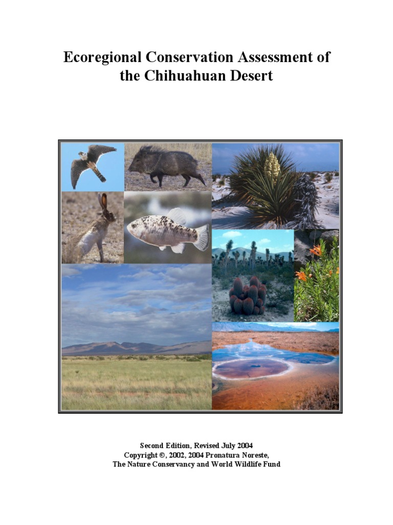 Chihuahuan Desert Report | PDF | Habitat | Ecology