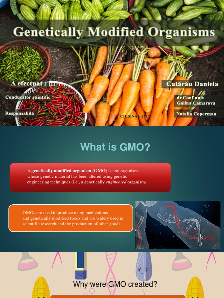 Gmo Presentation | PDF | Genetically Modified Organism | Genetic ...