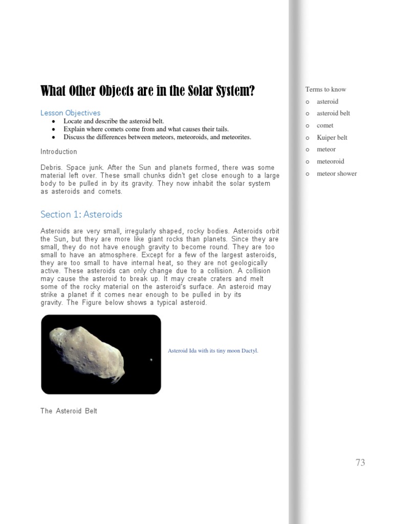 Other Objects in the Solar System | PDF | Meteoroid | Comet