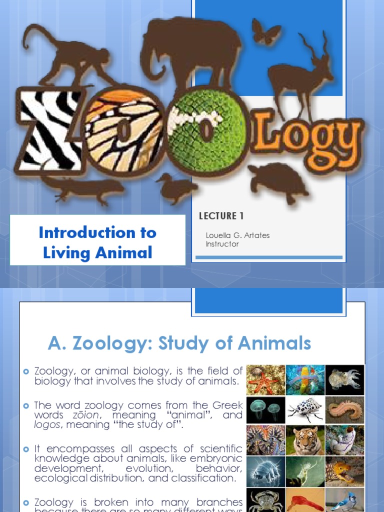 Lecture 1 Introduction To Living Animal | PDF | Zoology | Cell (Biology)