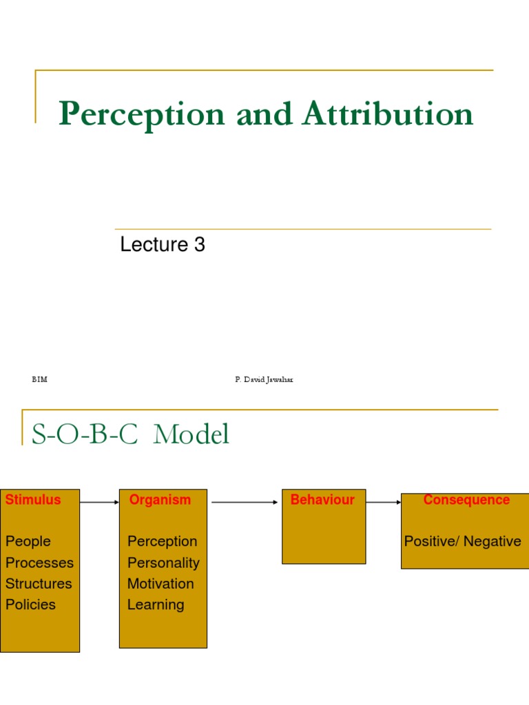 Perception and Attribution: BIM P. David Jawahar | PDF | Perception ...