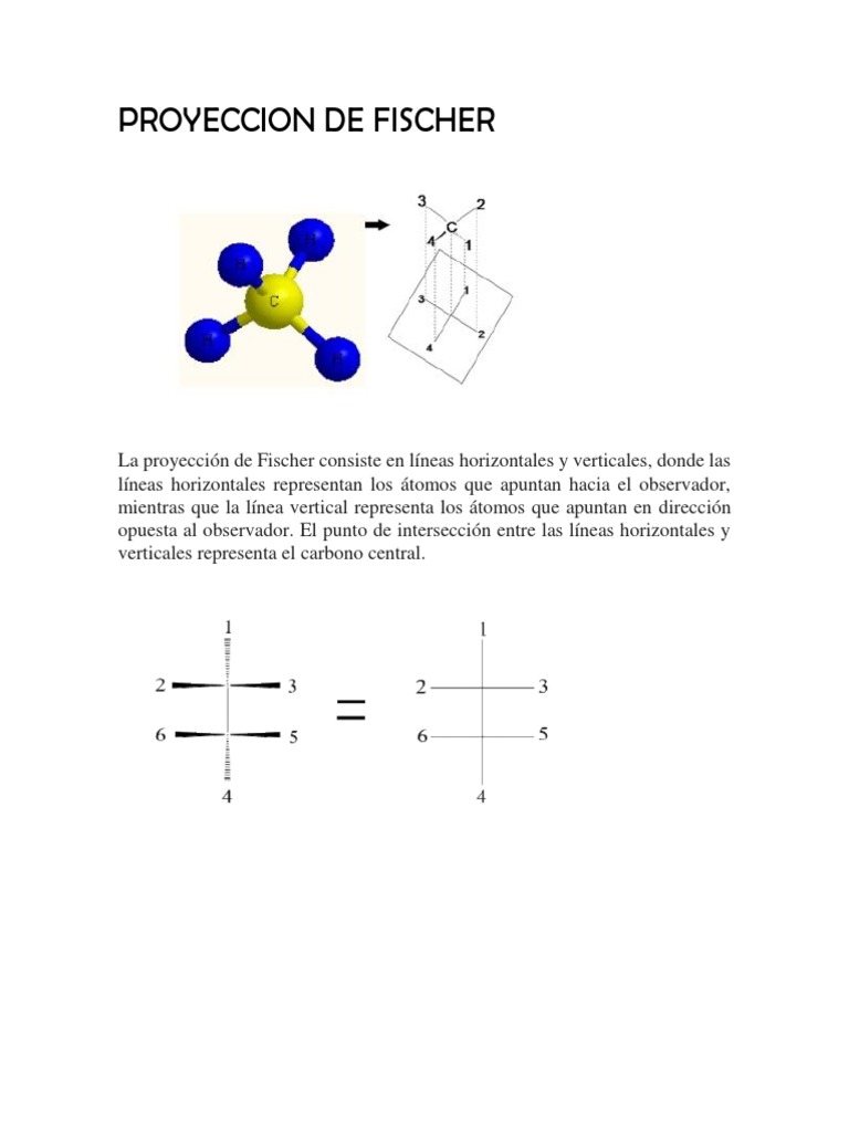 Fischer | PDF | Celulosa | Materiales