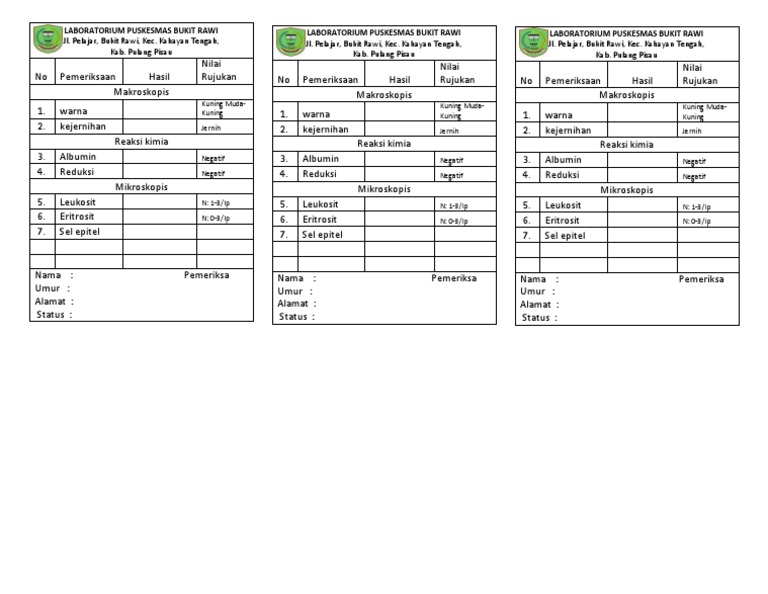 Blanko Lab Urine Lengkap | PDF