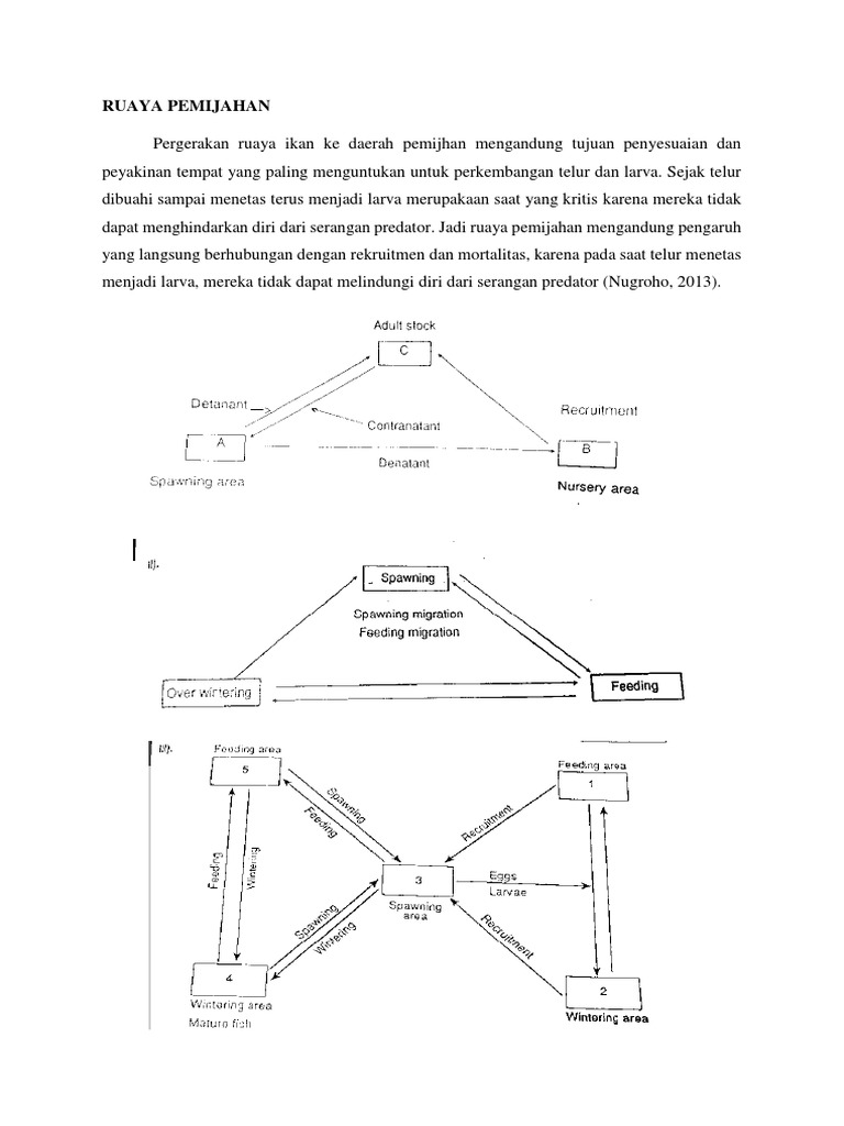 Ruaya Pemijahan | PDF | Sains & Matematika
