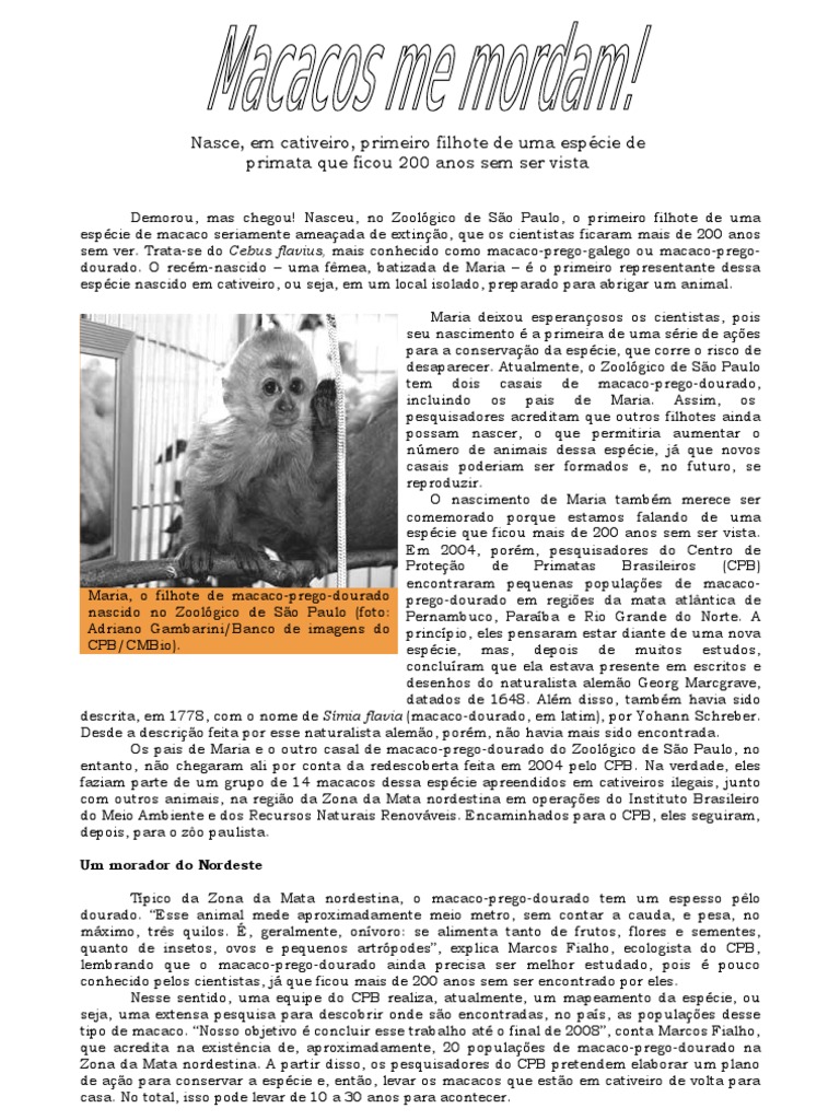 Macacos Me Mordam! | PDF | Jardim zoológico | Organismos