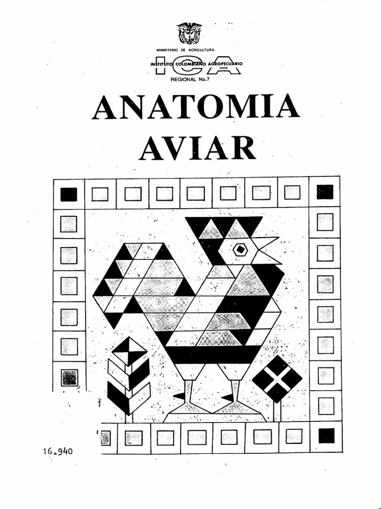 Anatomía de las Aves: Esqueleto y Partes | PDF | Vértebra | Timo