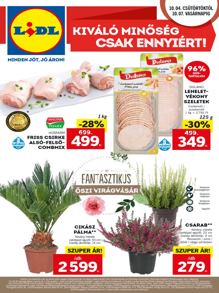 Lidl | PDF