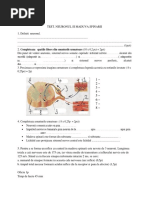 Biologie Clasa-Ix Test Initial | PDF