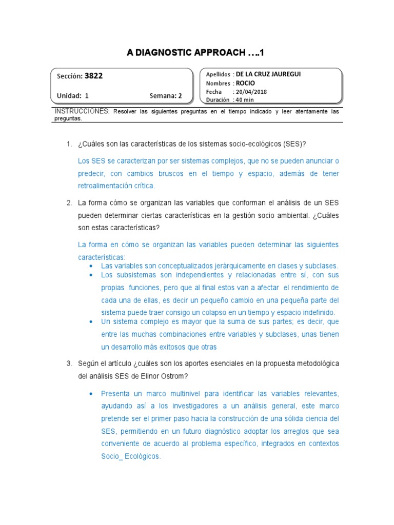 De La Cruz Jauregui Rocio 1 | PDF | Ciencia cognitiva | Cognición