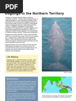 Fun Facts About Dugongs | PDF