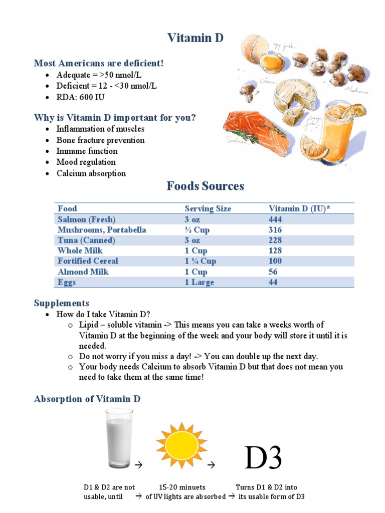Sports Nutrition - Vitamin D Handout | PDF
