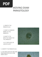 Parasite Summary Table Final | PDF | Veterinary Medicine | Animals And ...