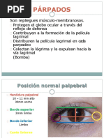 Diaz Apaza Anthony Jesus-Diascopia - Vitropresion | PDF ...