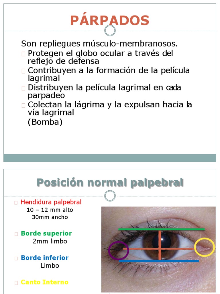 Anatomía y Alteraciones de Párpados | PDF | Ojo humano | Enfermedades ...