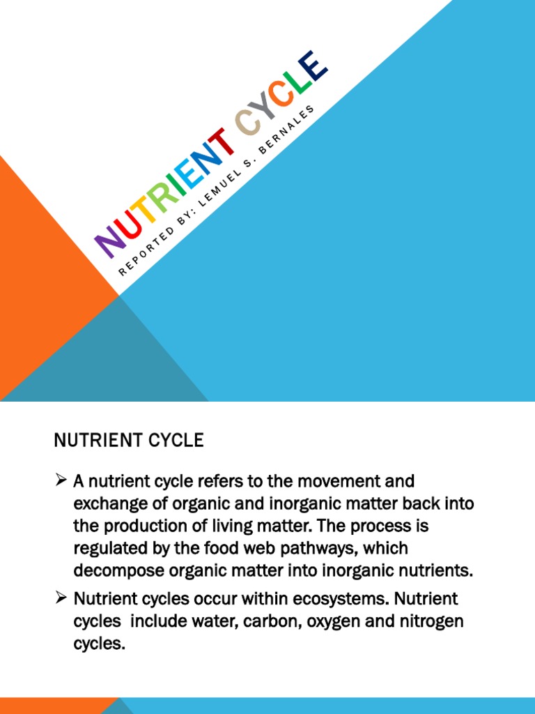 Nutrient Cycle | PDF | Water Cycle | Carbon Cycle