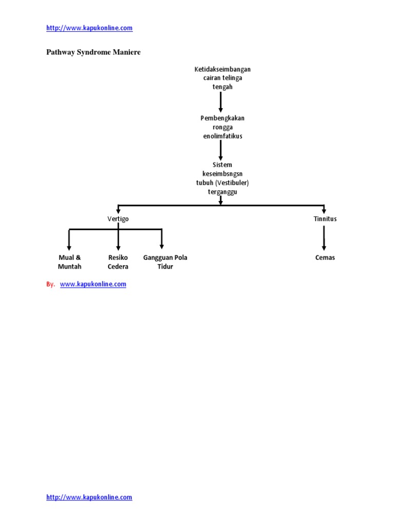 Pathway Syndrome Maniere | PDF