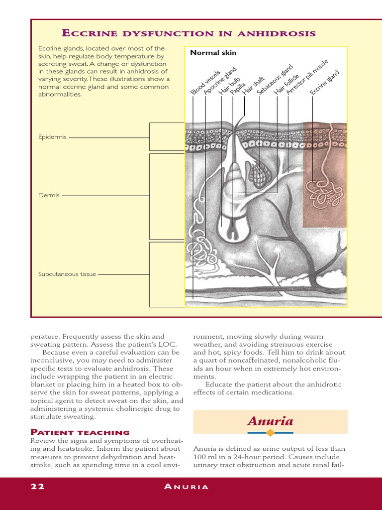 Anuria | PDF | Urinary System | Kidney