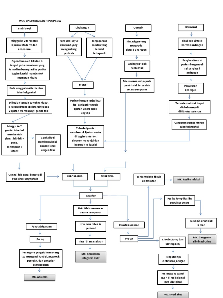 Woc Epispadia Dan Hipospadia | PDF