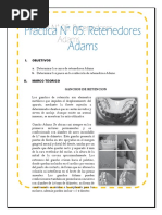 Gancho Adams | PDF | Ortodoncia | Naturaleza