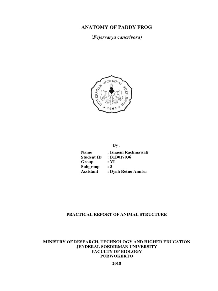 Anatomi Katak | PDF | Frog | Amphibian