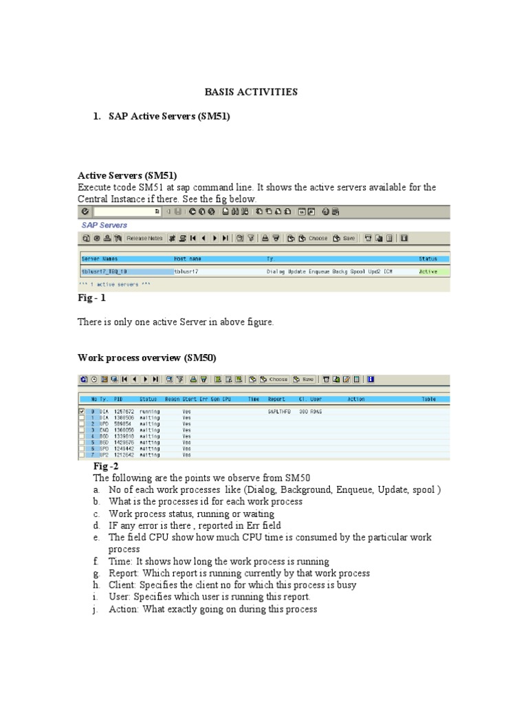 Basis Activities | PDF | Databases | Computer Data Storage