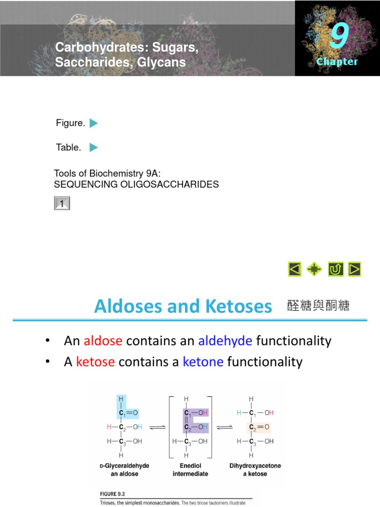 Carbohydrates: Sugars, Saccharides, Glycans: Table. Tools of ...