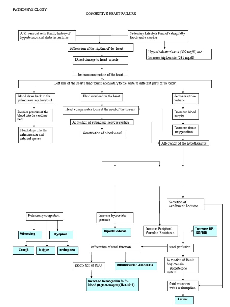 Pathophysiology CHF | PDF | Blood Vessel | Heart Failure