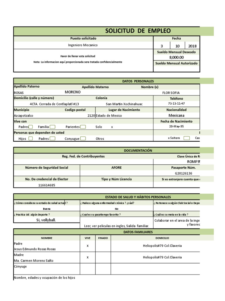 Formato Solicitud Empleo en Excel | Ciudad de México | Tecnología