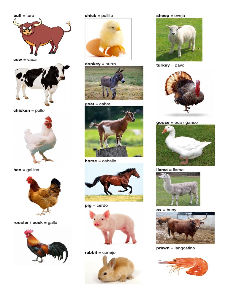 25 Animales en Inglés y Español | PDF