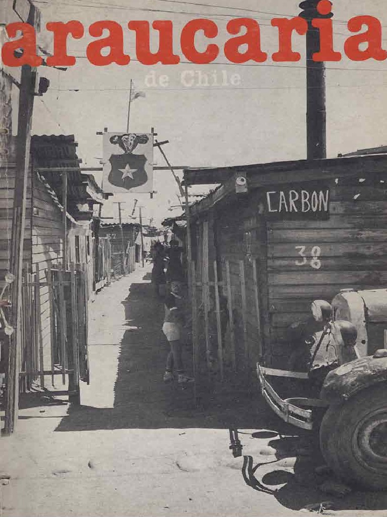 Animitas PDF | PDF | Chile | Augusto Pinochet