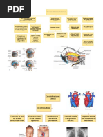 Inervación Del Corazón | PDF | Corazón | Neuroanatomía