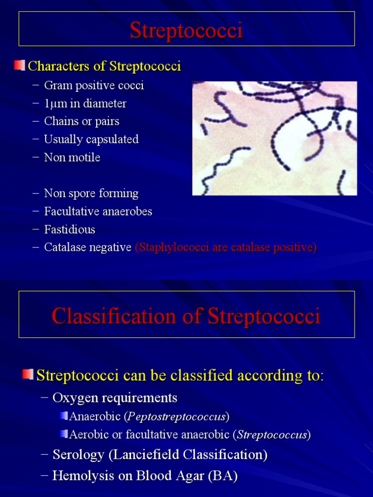 Streptococci | PDF | Streptococcus | Clinical Medicine