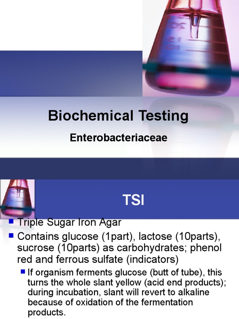 Biochemical Testing: Enterobacteriaceae | PDF | Biochemistry | Chemistry