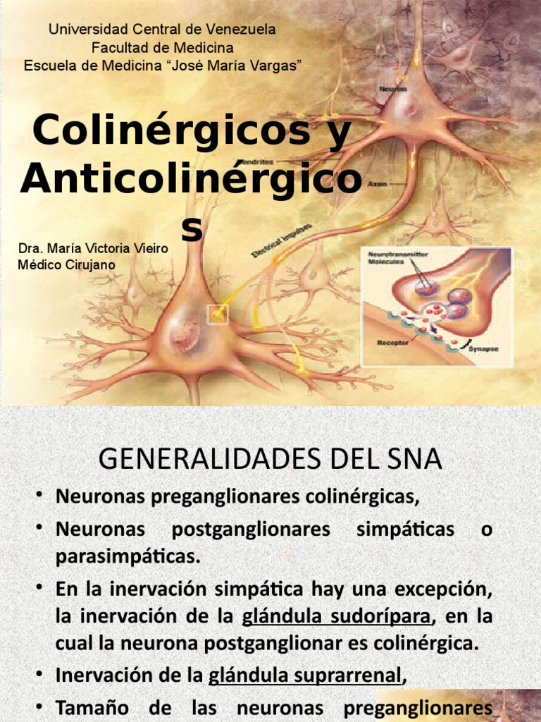 Colinérgicos y Anticolinérgicos | Acetilcolina | Drogas