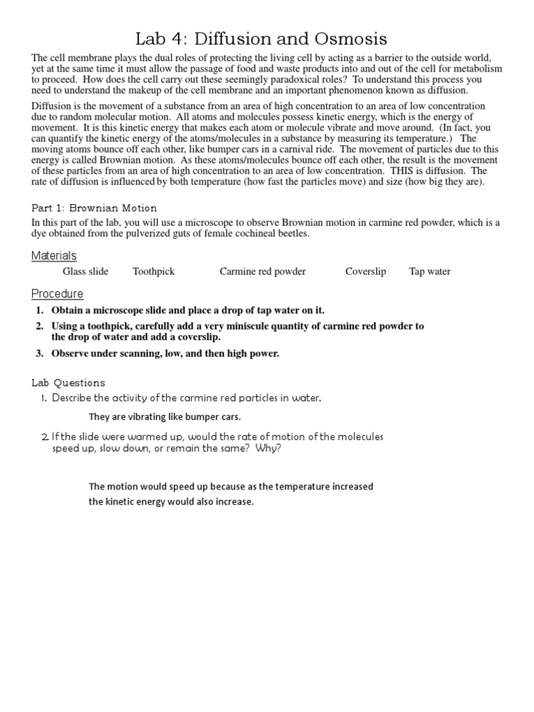 Answer Key Lab Diffusion and Osmosis | PDF | Osmosis | Cell Membrane
