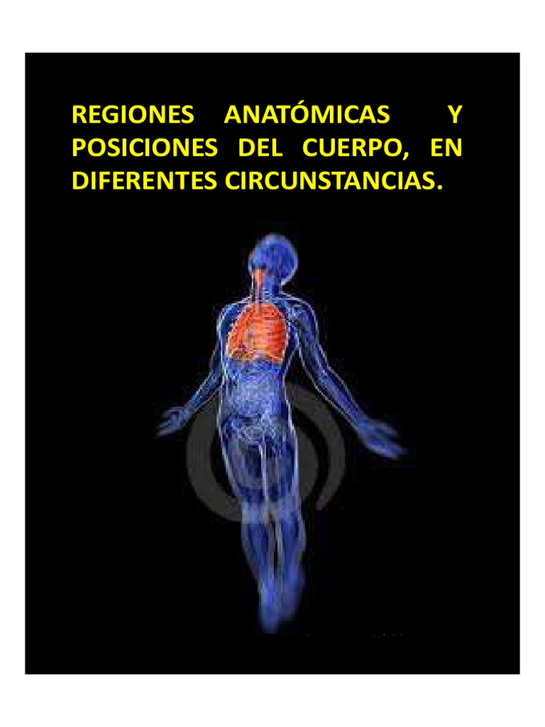 Regiones Anatómicas y Posiciones Del Cuerpo, en Diferentes ...