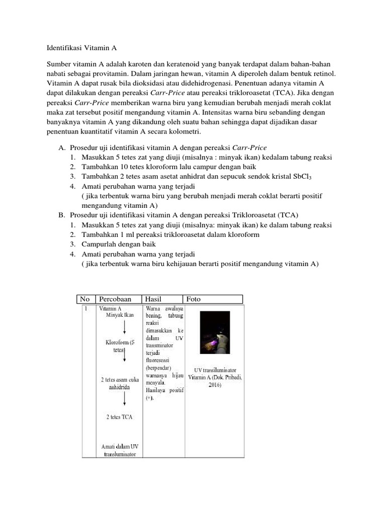 Identifikasi Vitamin A | PDF