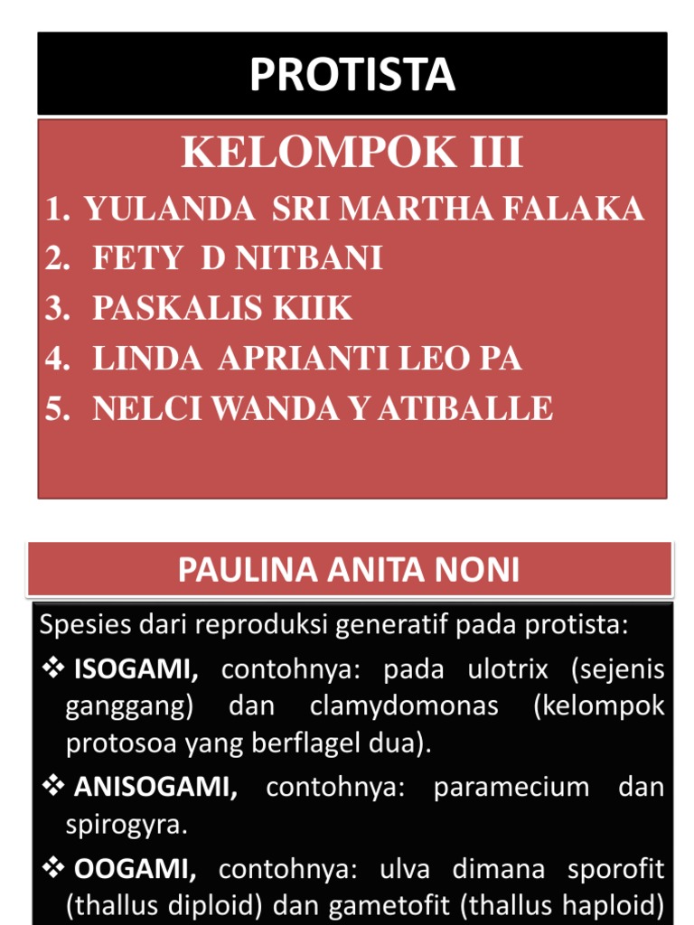 Reproduksi Generatif Protista: Isogami dan Anisogami | PDF | Sains ...