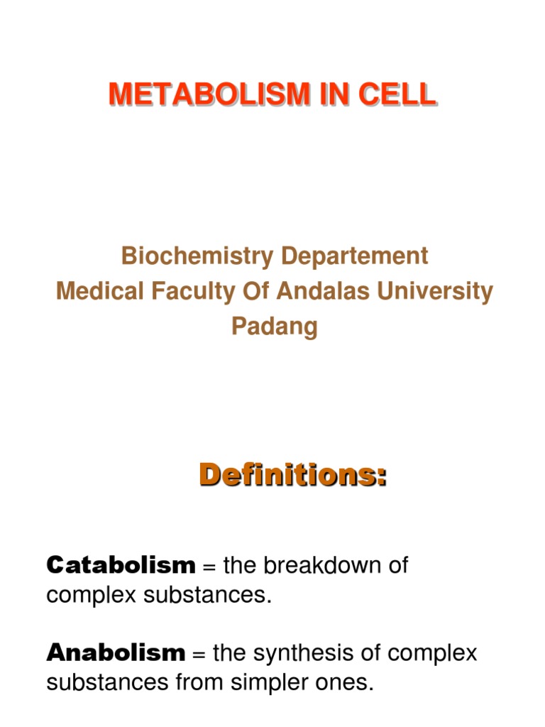 KP 1.1.4.5 Proses Metabolisme DLM Sel | PDF | Metabolism | Adenosine ...