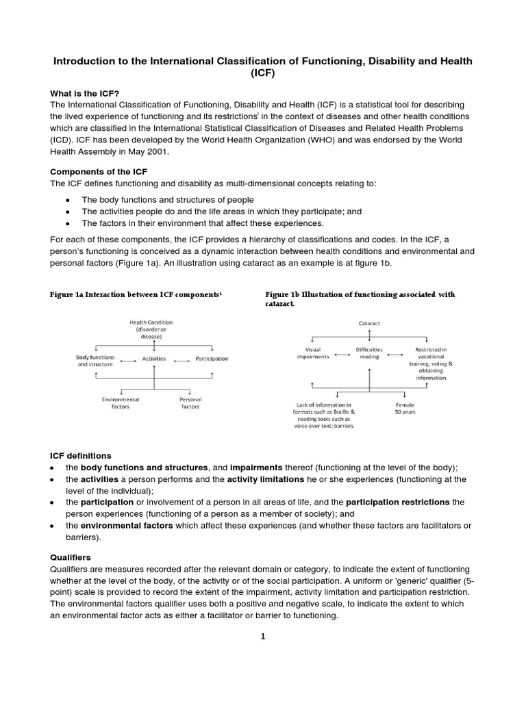 GH-ICF Information sheet-FINAL Approved-030810 PDF | PDF | Science ...