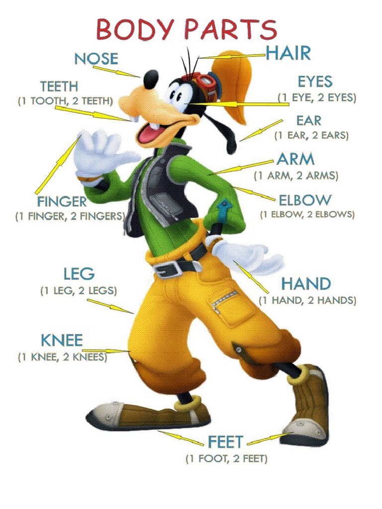 Body Parts Activities Promoting Classroom Dynamics Group Form 5607 | PDF