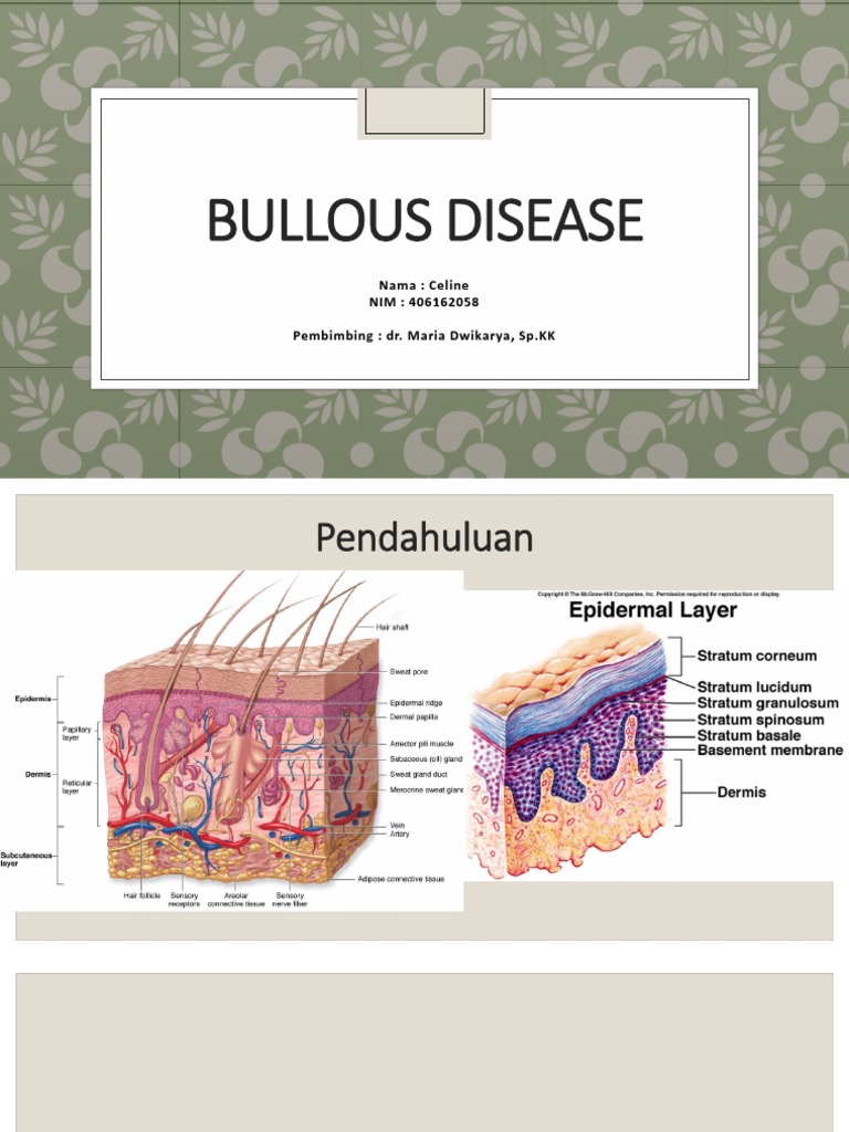Bullous Disease of Skin (Penyakit Kulit Bullosa Kronik) | PDF
