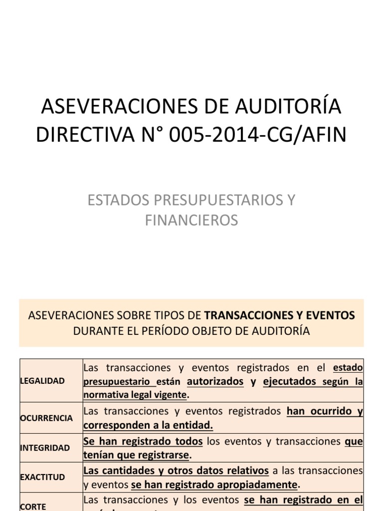 Aseveraciones de Auditoría | PDF
