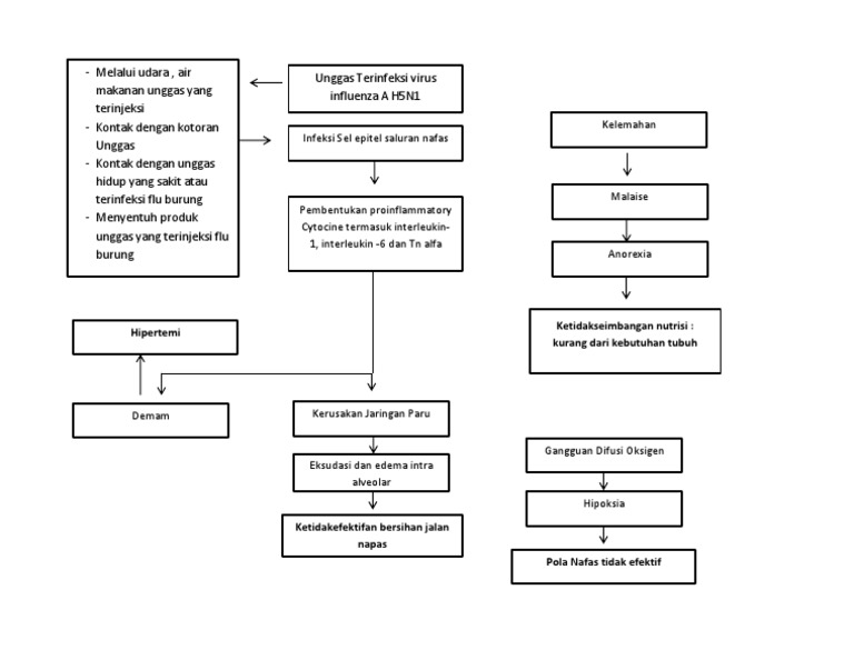 Pathway Flu Burung | PDF